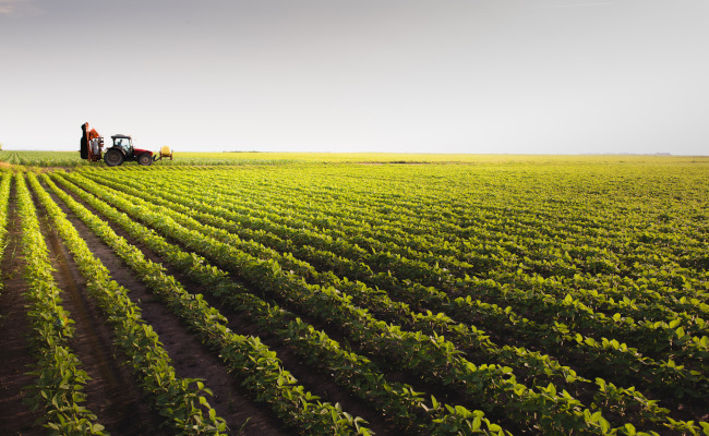 Farm Insurance, Collingwood, ON | Insurance Store